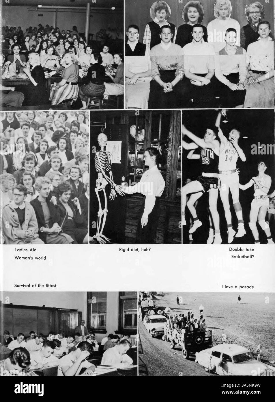 The 1956 'Hesperian' yearbook offers a look into the academic year at ...