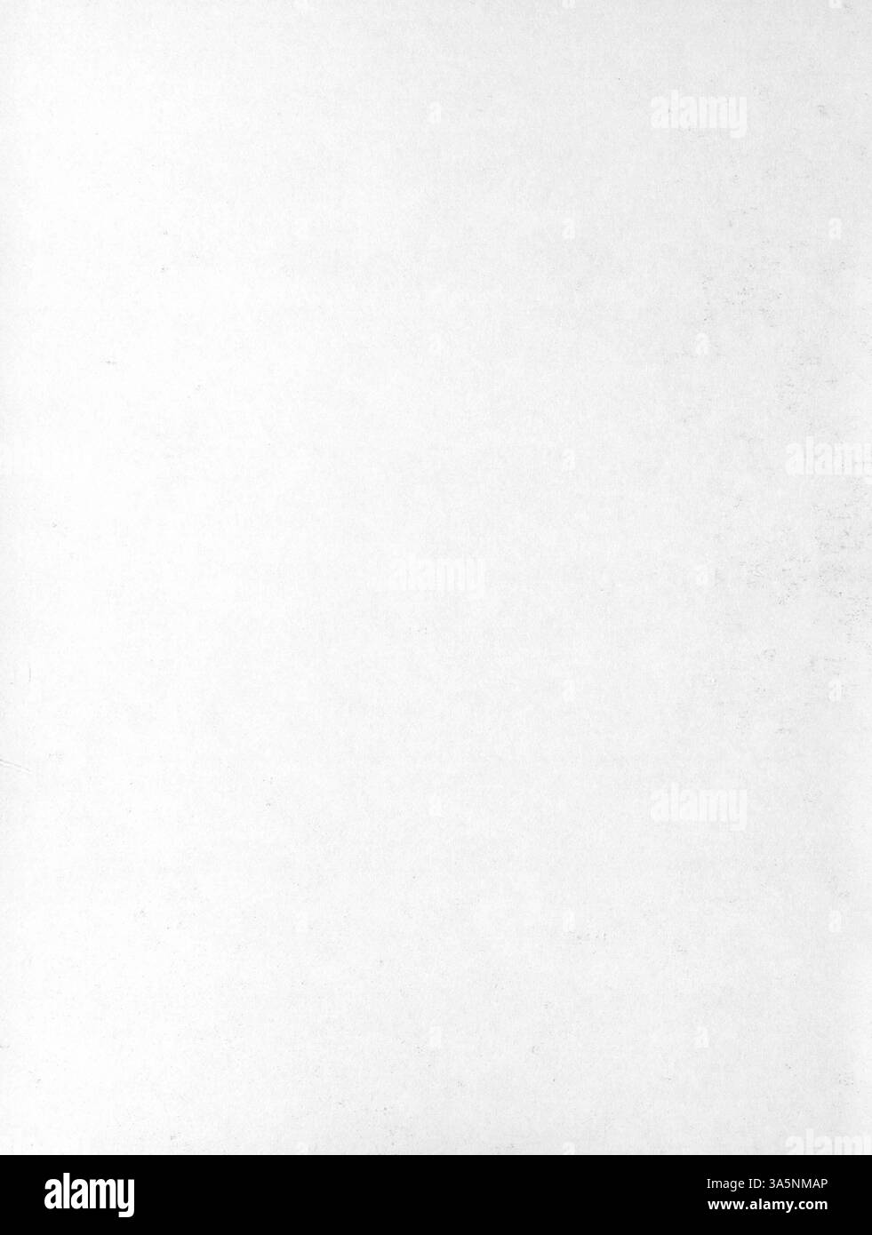 The 1986 Holland Elementary Yearbook captures the students, teachers ...