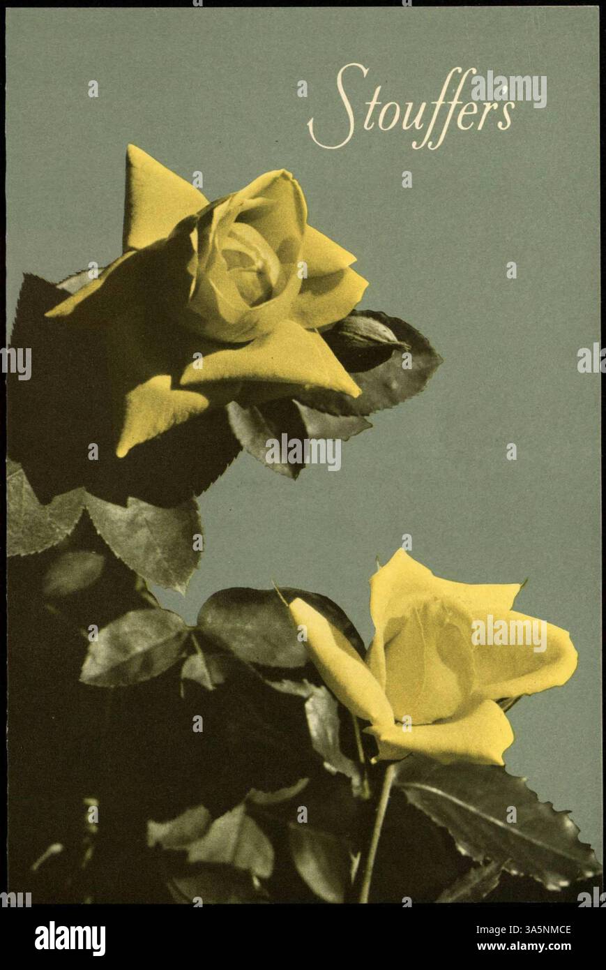 The stouffers luncheon menu showcases a variety of dishes hi-res stock ...