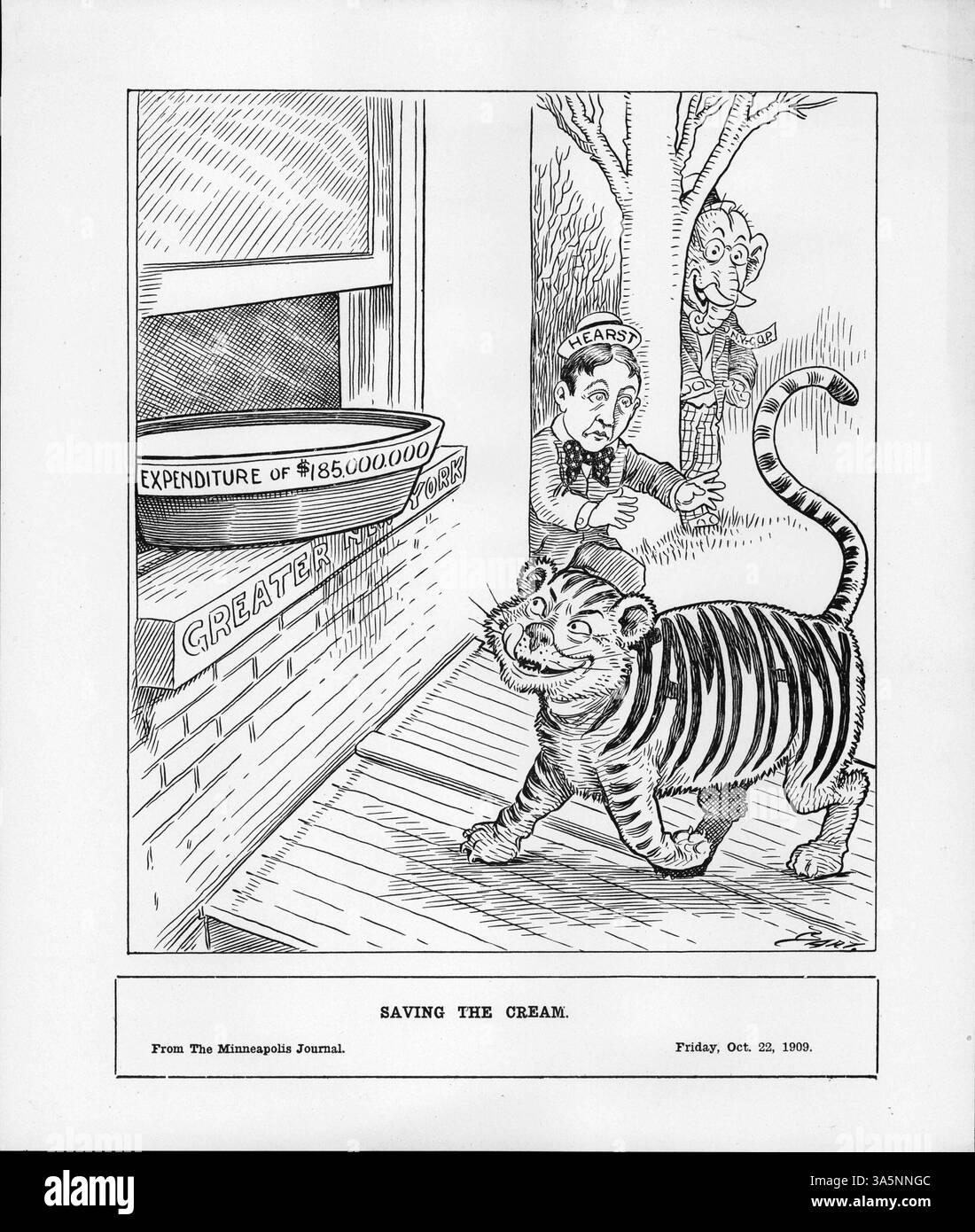 Tammany tiger hi-res stock photography and images - Alamy