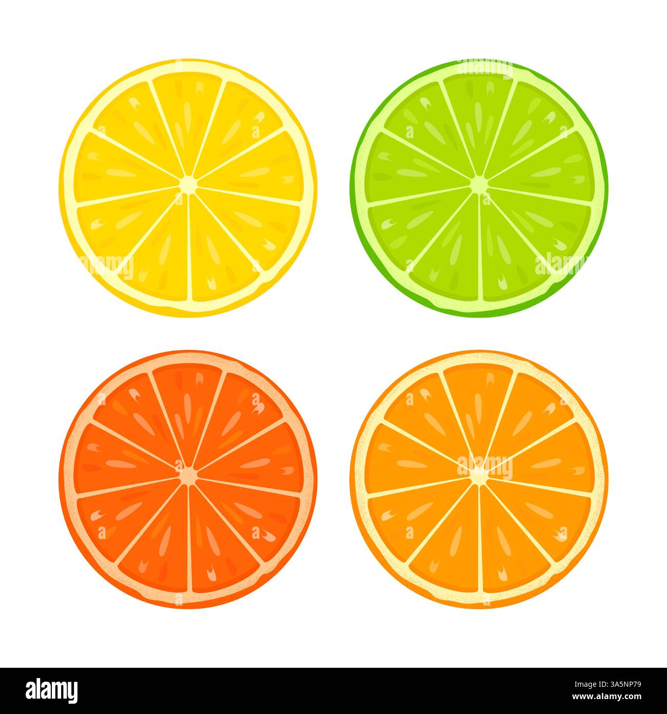 Set of citrus lemon, lime, orange, grapefruit - slices. Vector illustration isolated on white ...