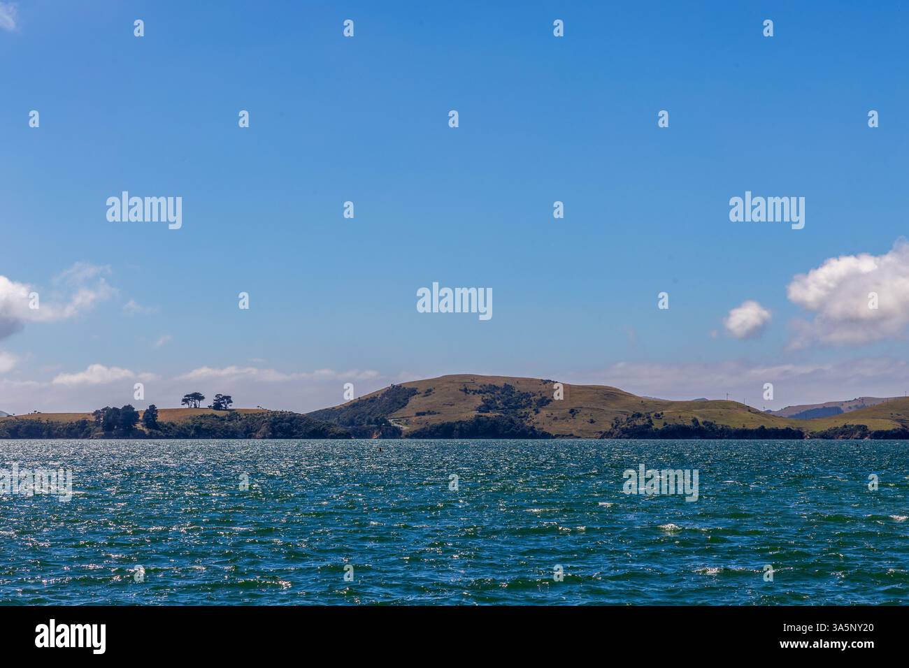 Scenic coastal view of Otago Harbor from Otago Peninsula, Dunedin, New ...