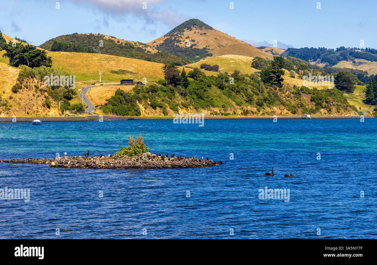 Scenic coastal view of Otago Harbor from Otago Peninsula, Dunedin, New ...
