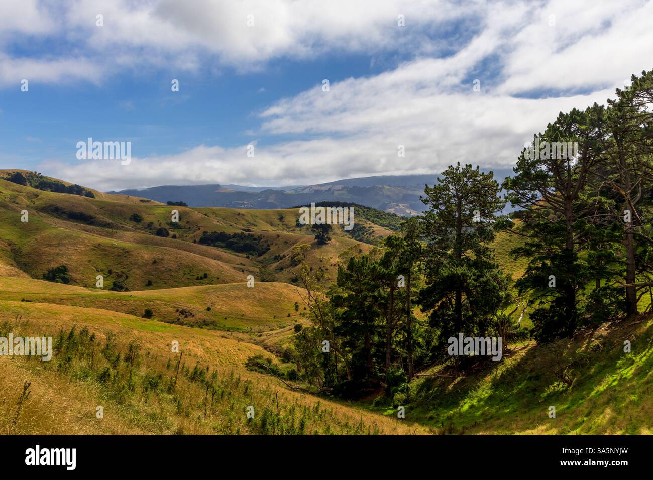 Scenic coastal view of Otago Harbor from Otago Peninsula, Dunedin, New ...