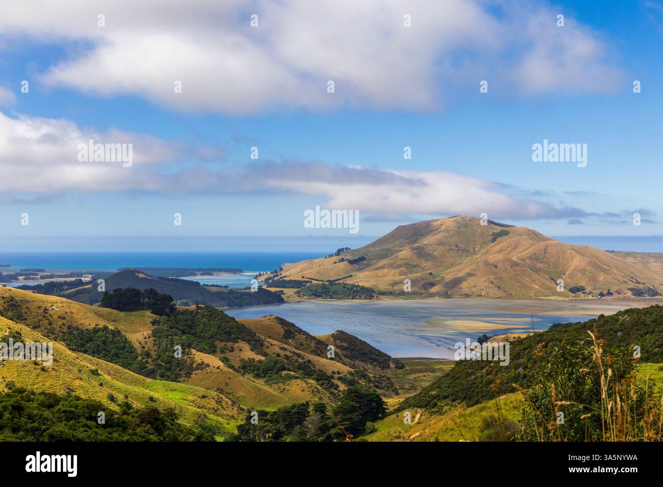 Scenic coastal view of Otago Harbor from Otago Peninsula, Dunedin, New ...
