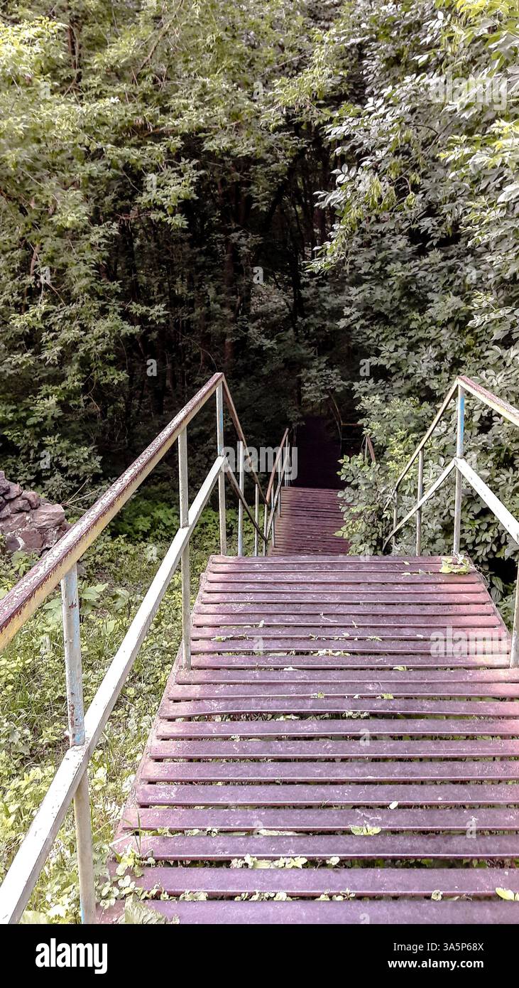 Old rusty metal staircase leading into dense forest. Mysterious ...