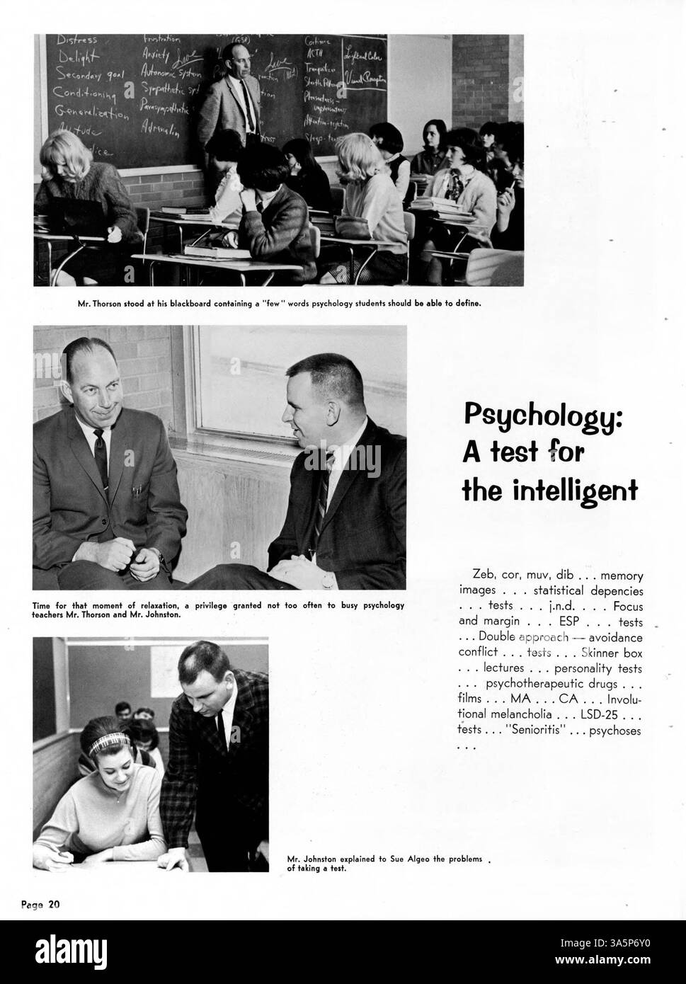 The 'Bear 1965' yearbook from Bloomington High captures the essence of ...