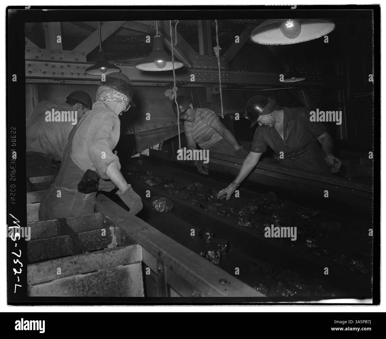Cleaning workers union Cut Out Stock Images & Pictures - Alamy