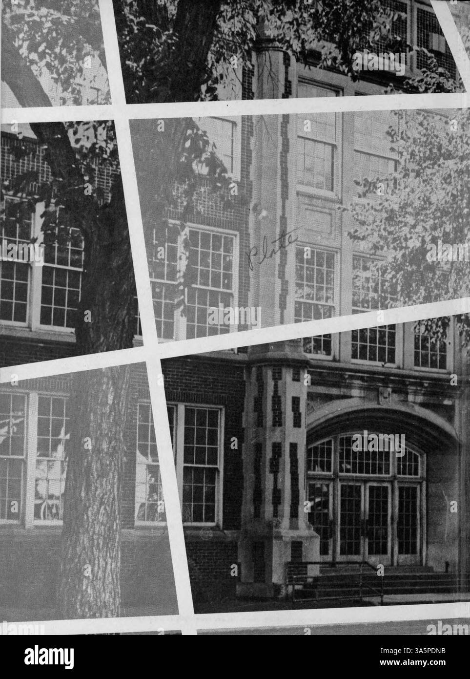 This 1955 yearbook, 'The Wizard for 1955', provides insight into the ...