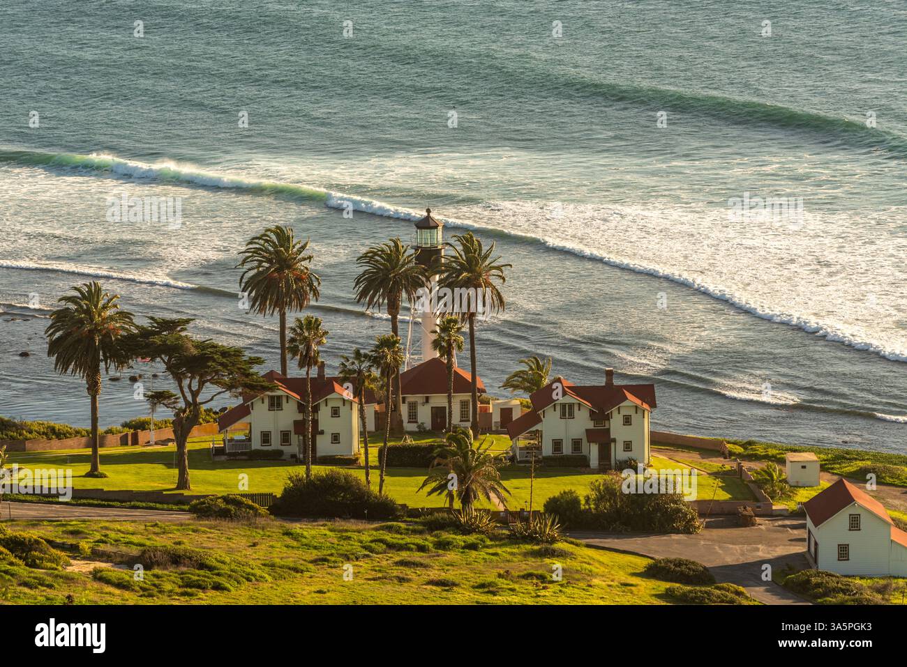 Coastal Lighthouse with Palm Trees by the Ocean Stock Photo - Alamy