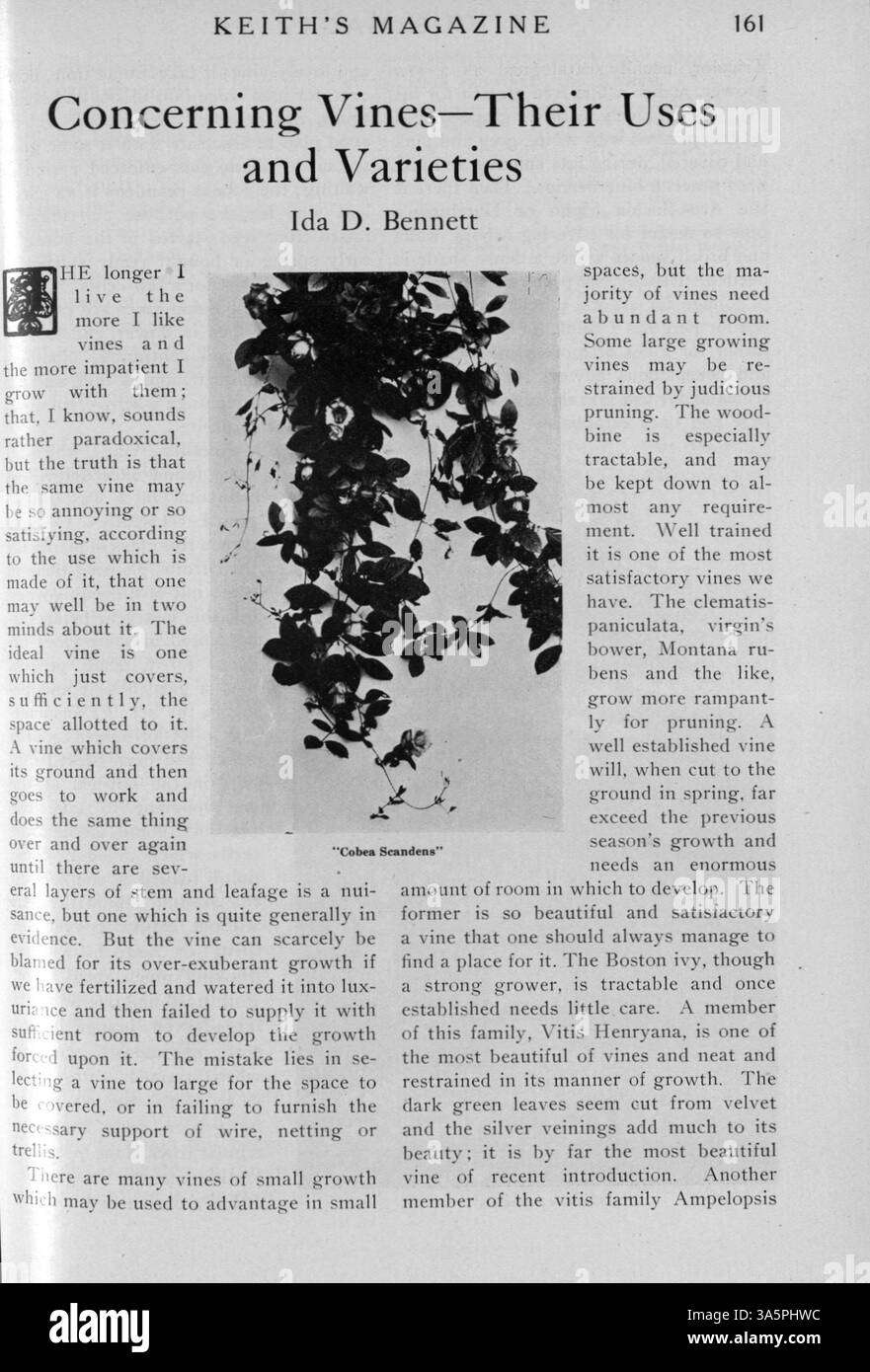 Schools the magazine provides building costs hi-res stock photography ...