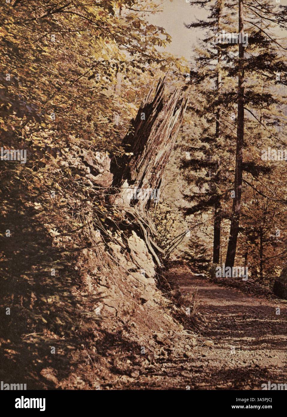 The 'Beacon' yearbook from Wesley Bible College in 1969 provides a ...