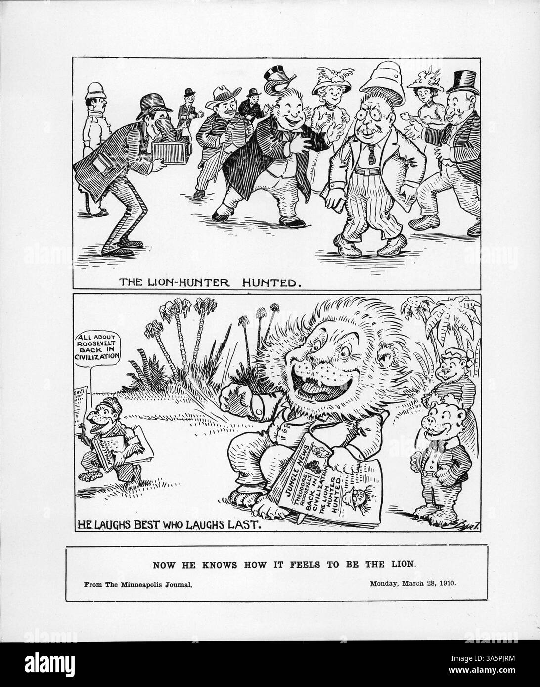 The political cartoon humorously depicts Theodore Roosevelt as a lion ...