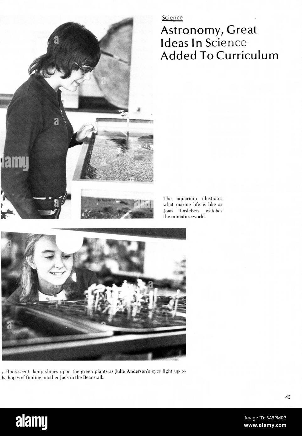 Documenting the 1971 1972 school year with photos of students Cut Out ...