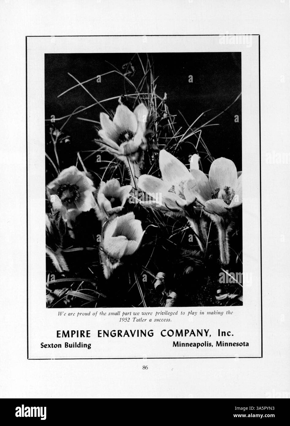 Tatler 1952 captures the major events hi-res stock photography and ...