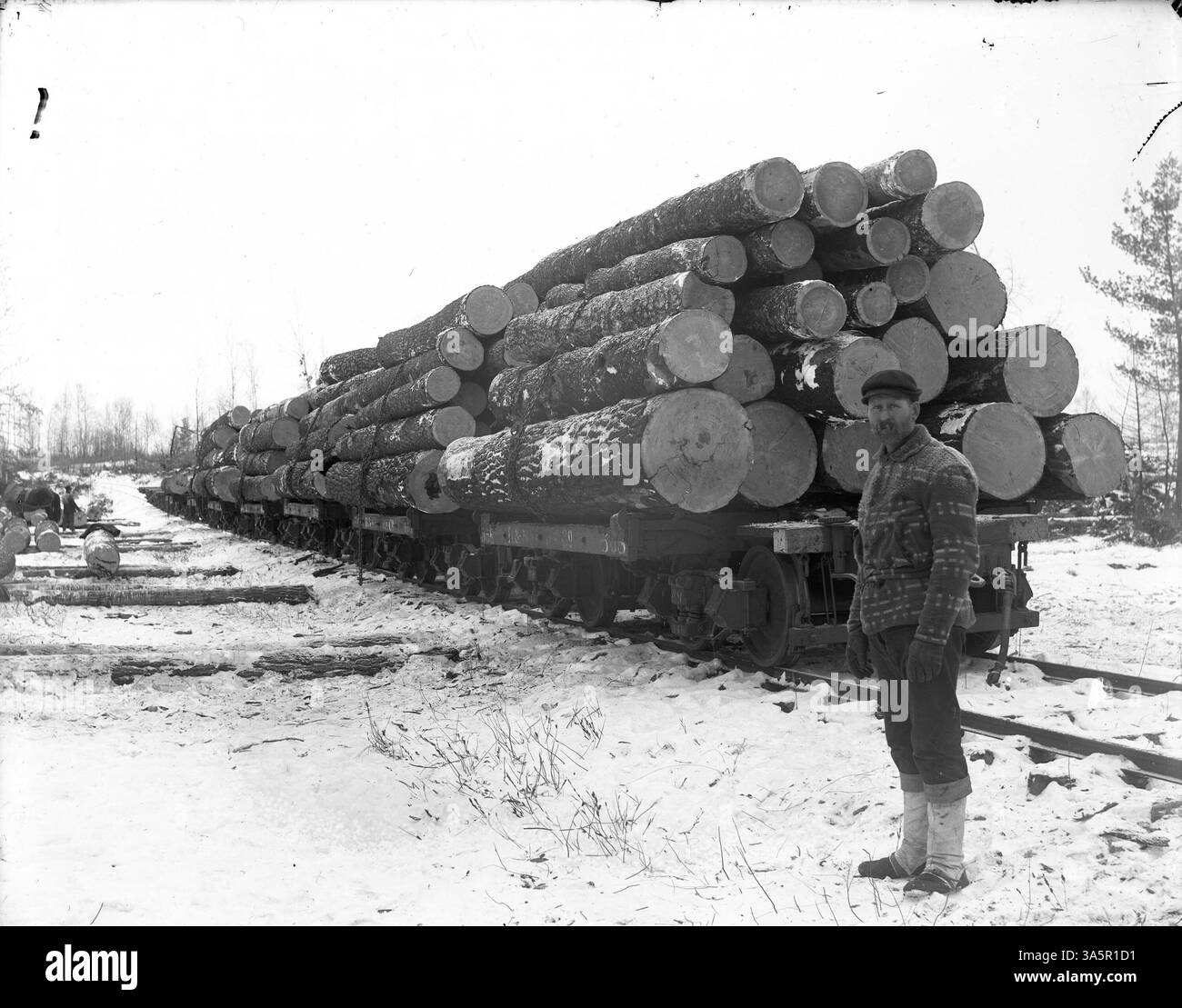 A lumberjack stands next to a log train, representing the timber ...