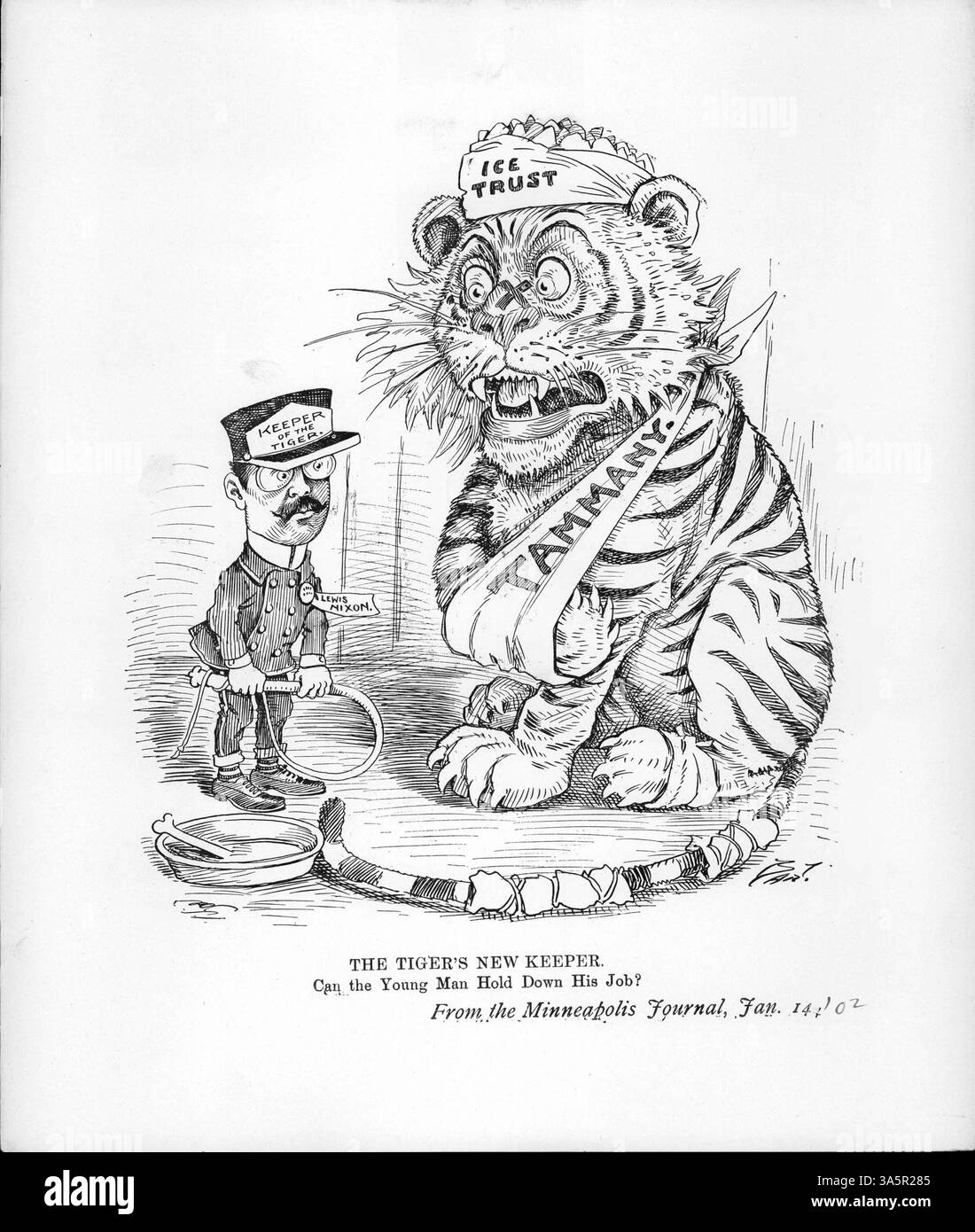 Tammany tiger hi-res stock photography and images - Alamy