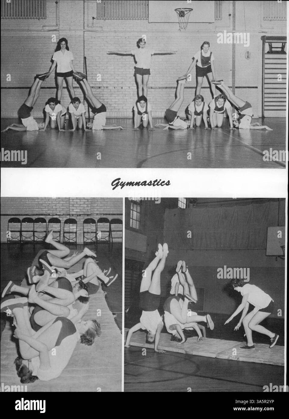 Significant school activities during the 1955 1956 academic year hi-res ...