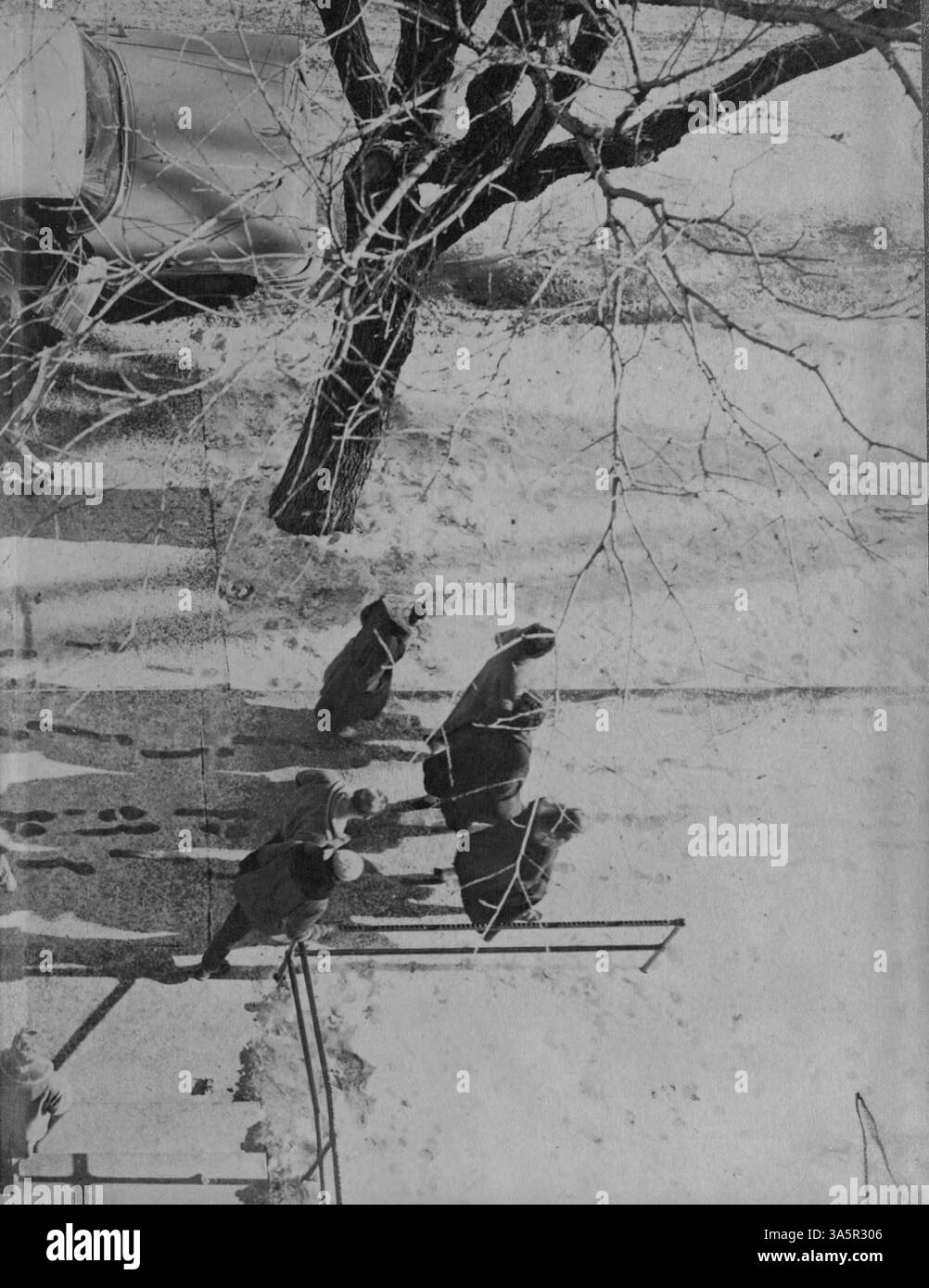 The 1955 1956 yearbook provides an overview of the school year hi-res ...