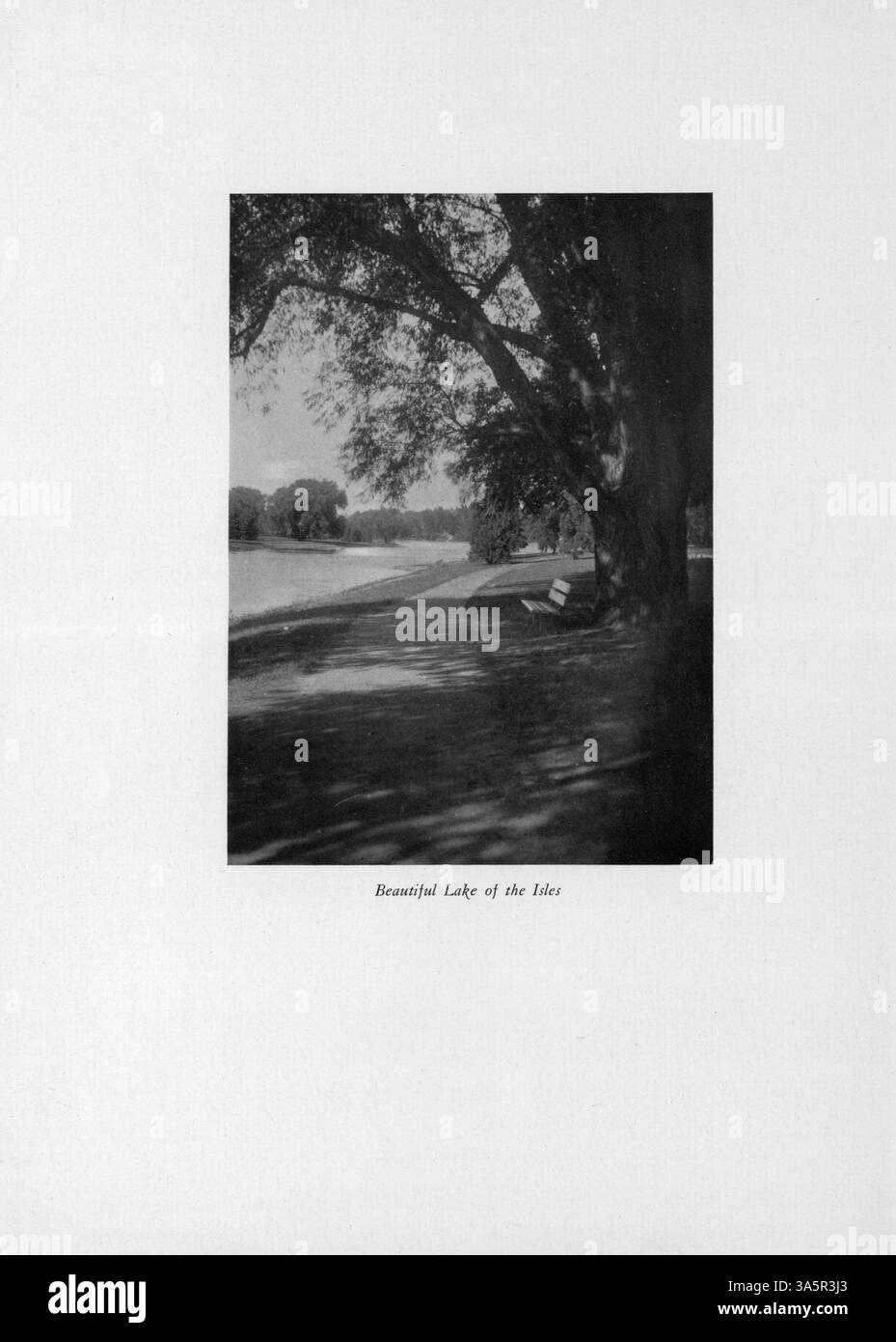 The 1933 Minnesotan yearbook from Minnesota School of Business offers a ...