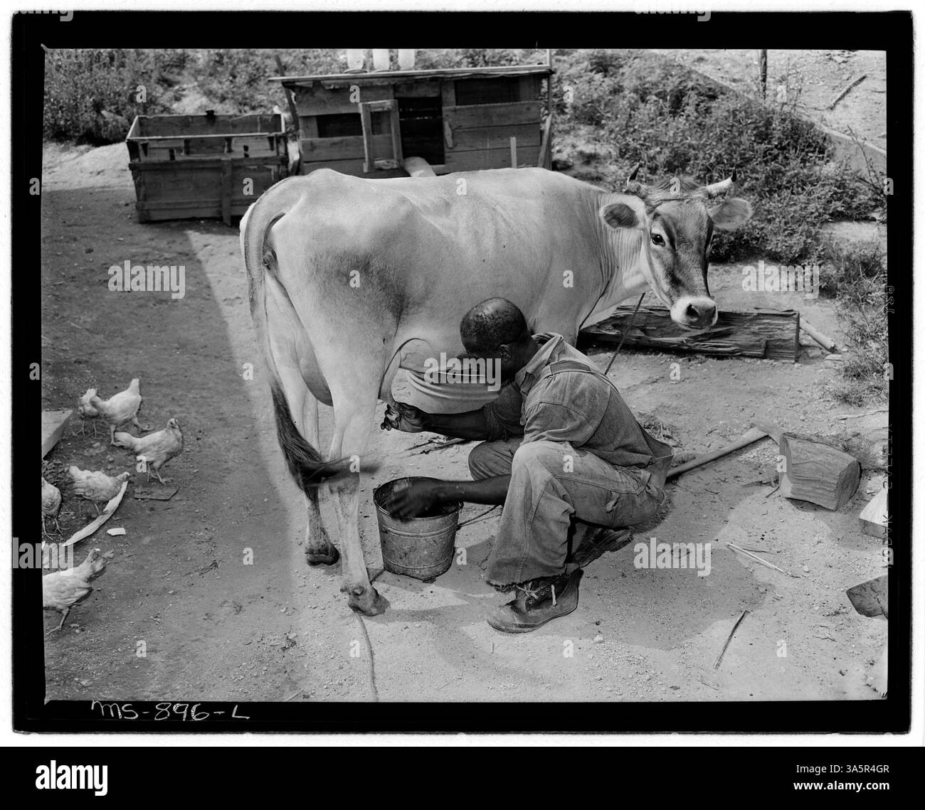 Butler Phillips, a Black miner from Adams, Rowe & Norman Inc. Porter ...
