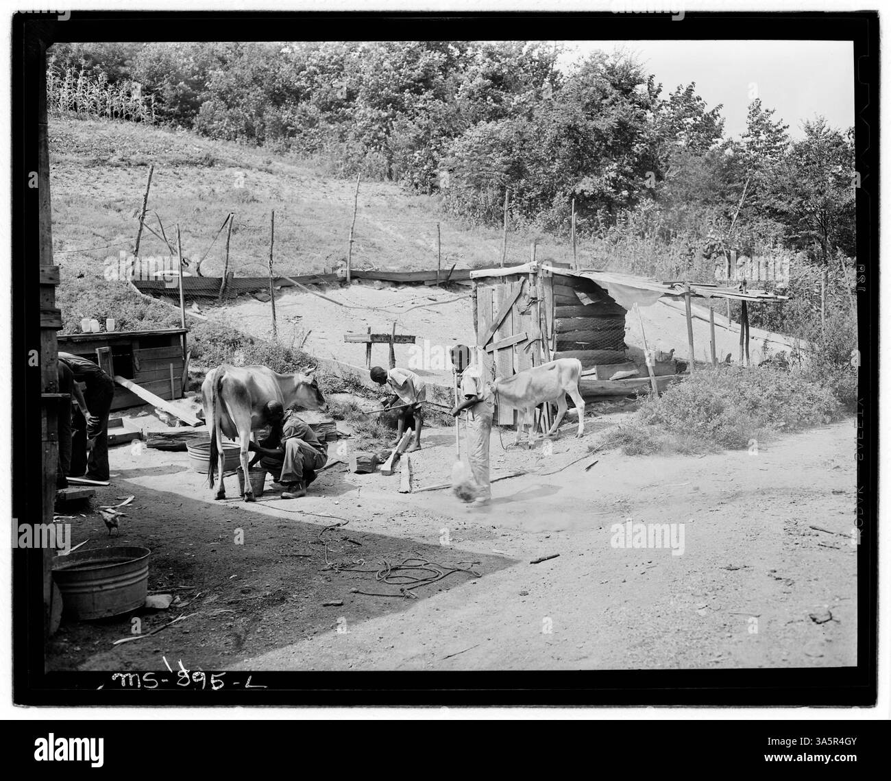 The backyard of Butler Phillips' home, a miner in the company housing ...