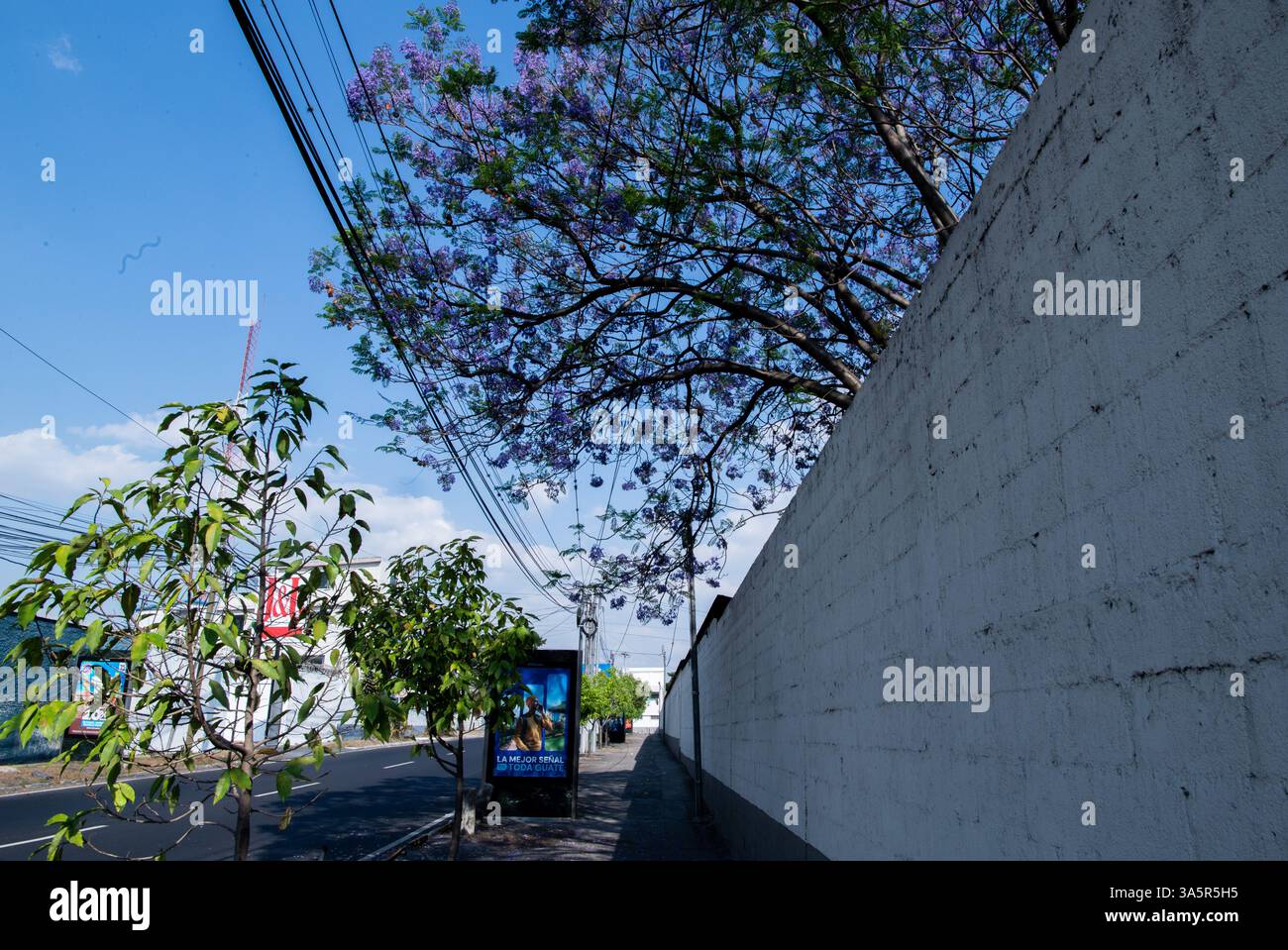 March 23, 2025, Guatemala City, Guatemala City, Guatemala: With the ...