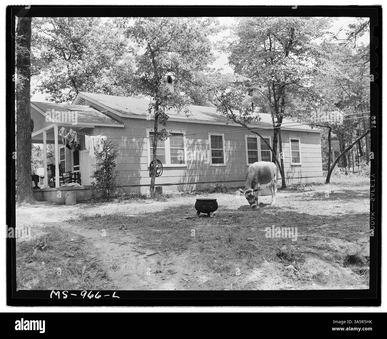 This 1946 photograph shows the home of a miner in Gorgas, Walker County ...