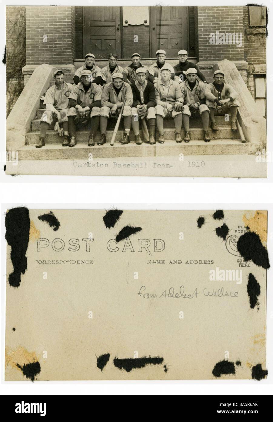 The 1910 Carleton College baseball team is pictured seated on the steps ...