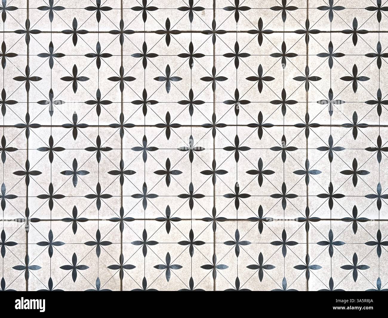 Close up of black and white star floral shape heritage and colonial ...