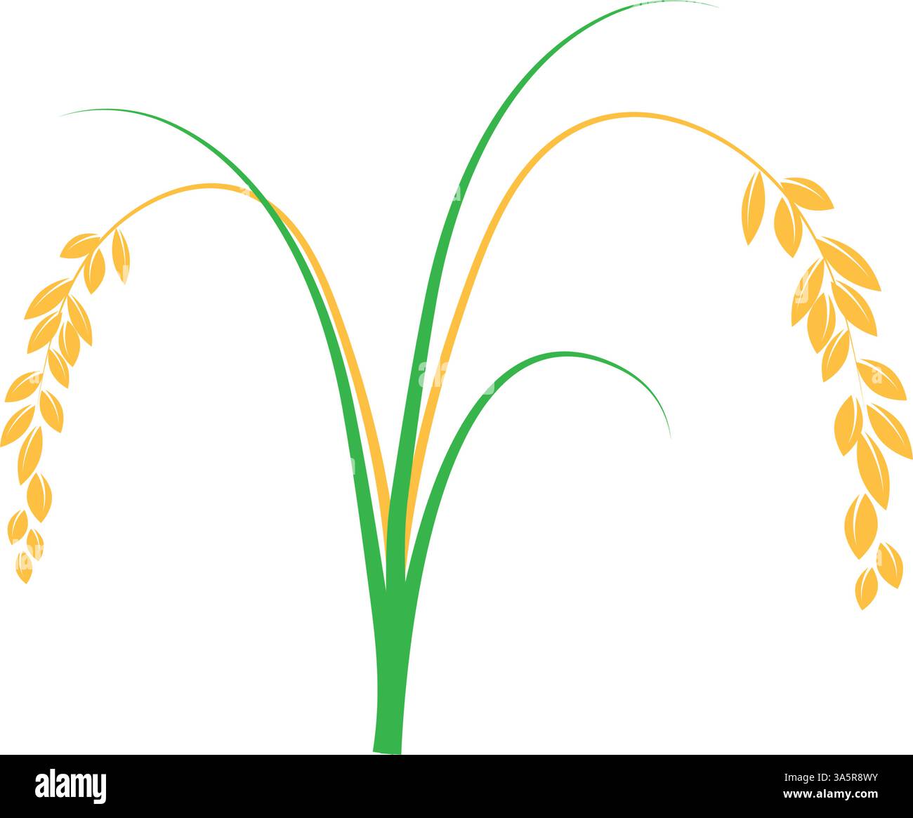 Rice set. Isolated rice on white background Stock Vector Image & Art ...