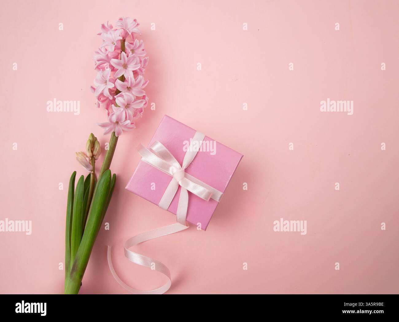 Mothers day gift. Fresh Hyacinths, Spring flowers and a gift box on ...