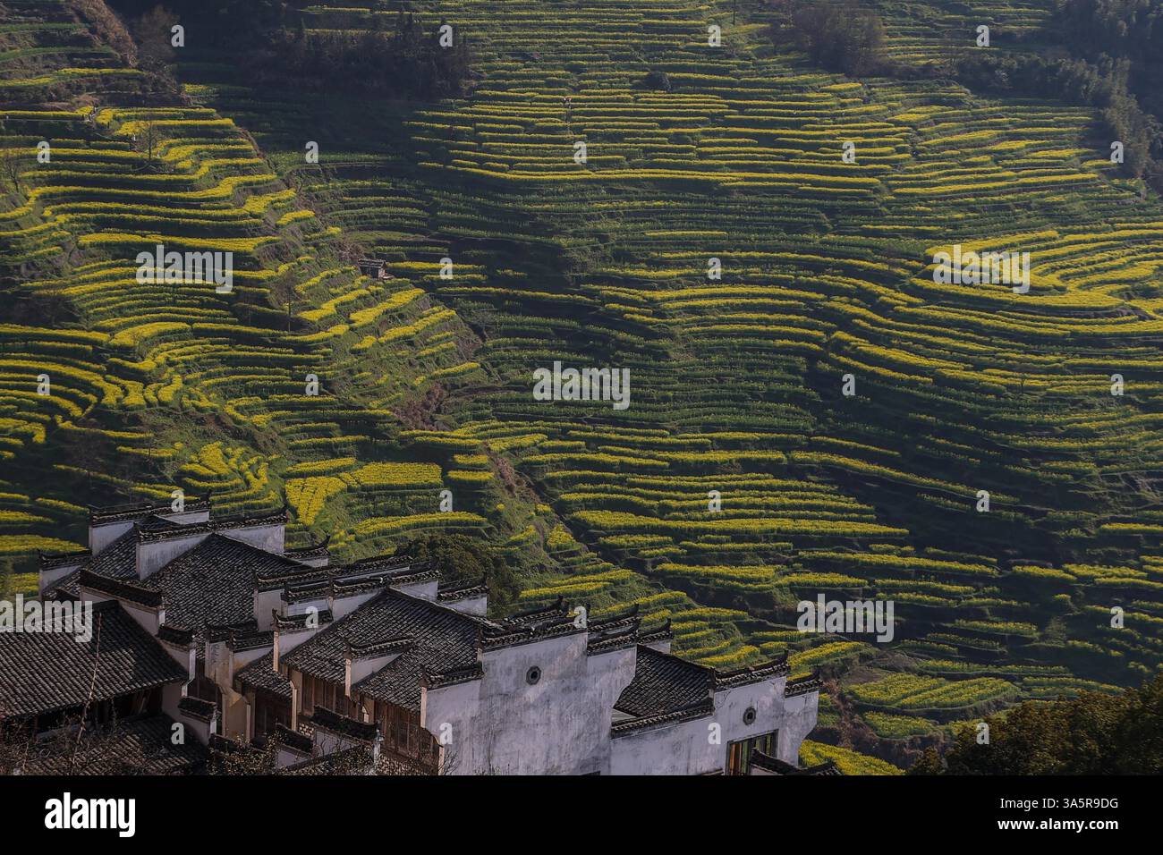 **CHINESE MAINLAND, HONG KONG, MACAU AND TAIWAN OUT** Aerial photo ...