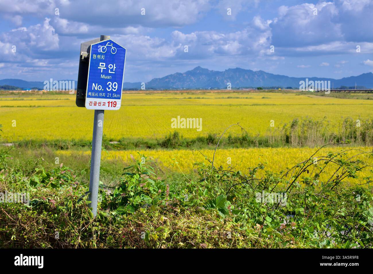 Muan County, South Korea - September 25, 2020: A bicycle route marker ...