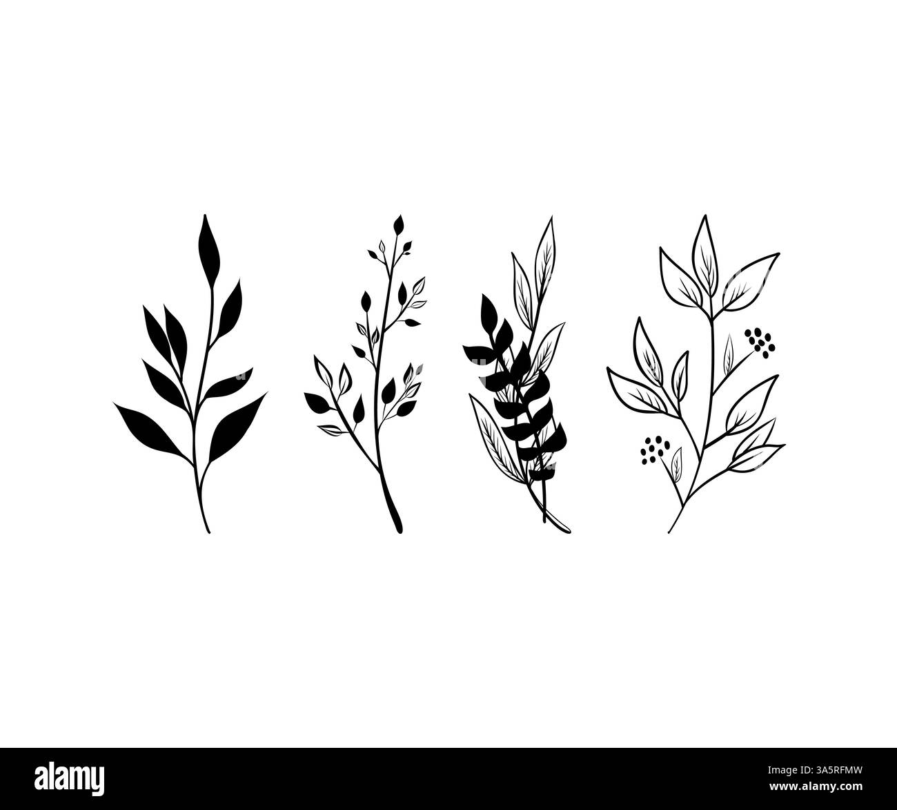Foliage underline hi-res stock photography and images - Alamy