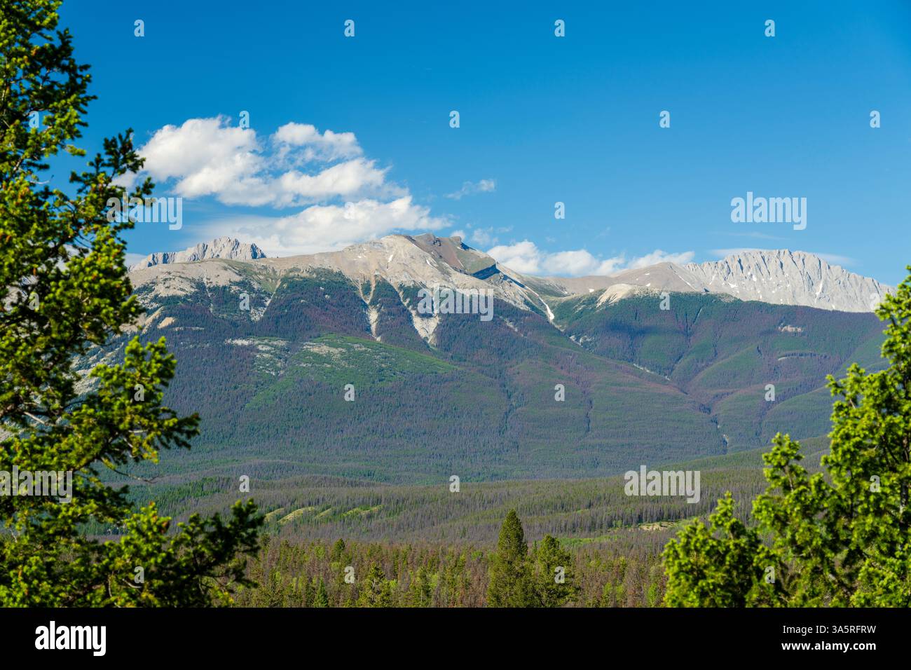 Mount Roche Bonhomme, Jasper National Park, Canadian Rockies. Alberta ...