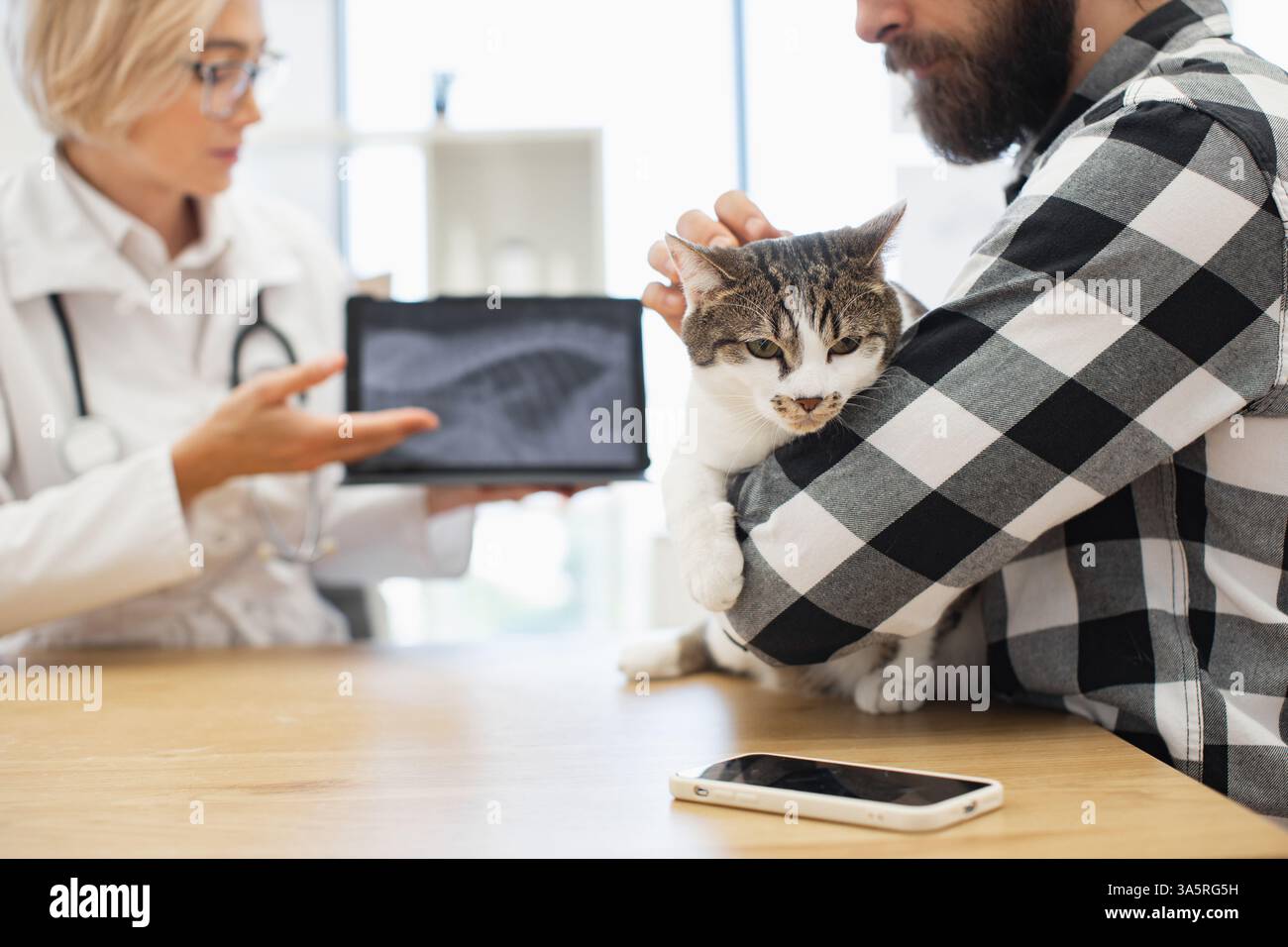 Veterinarian presenting X-ray image of cat to bearded male in ...