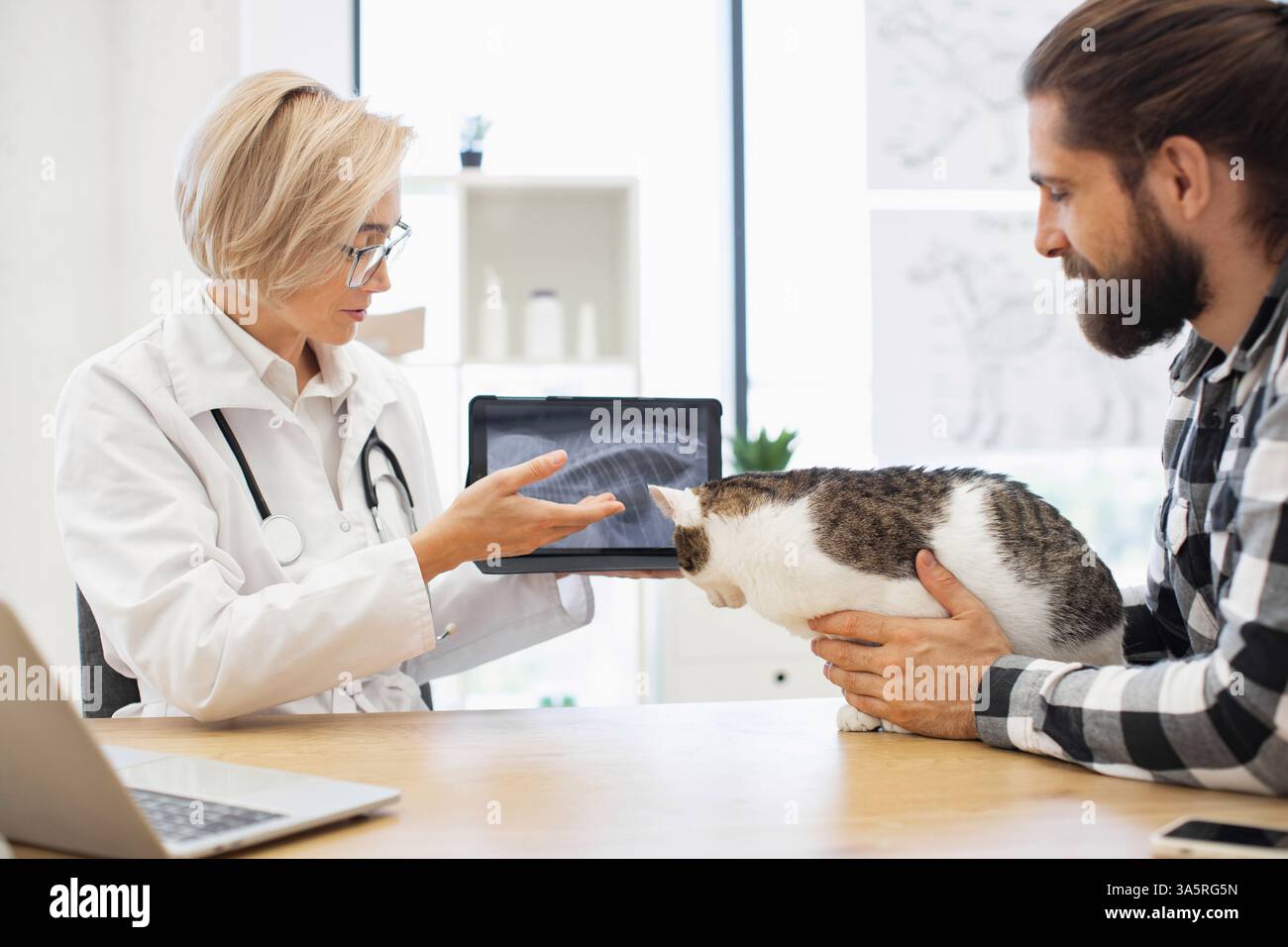 Female veterinarian in white coat showing x-ray image of a cat to male owner. Scene depicts cat ...