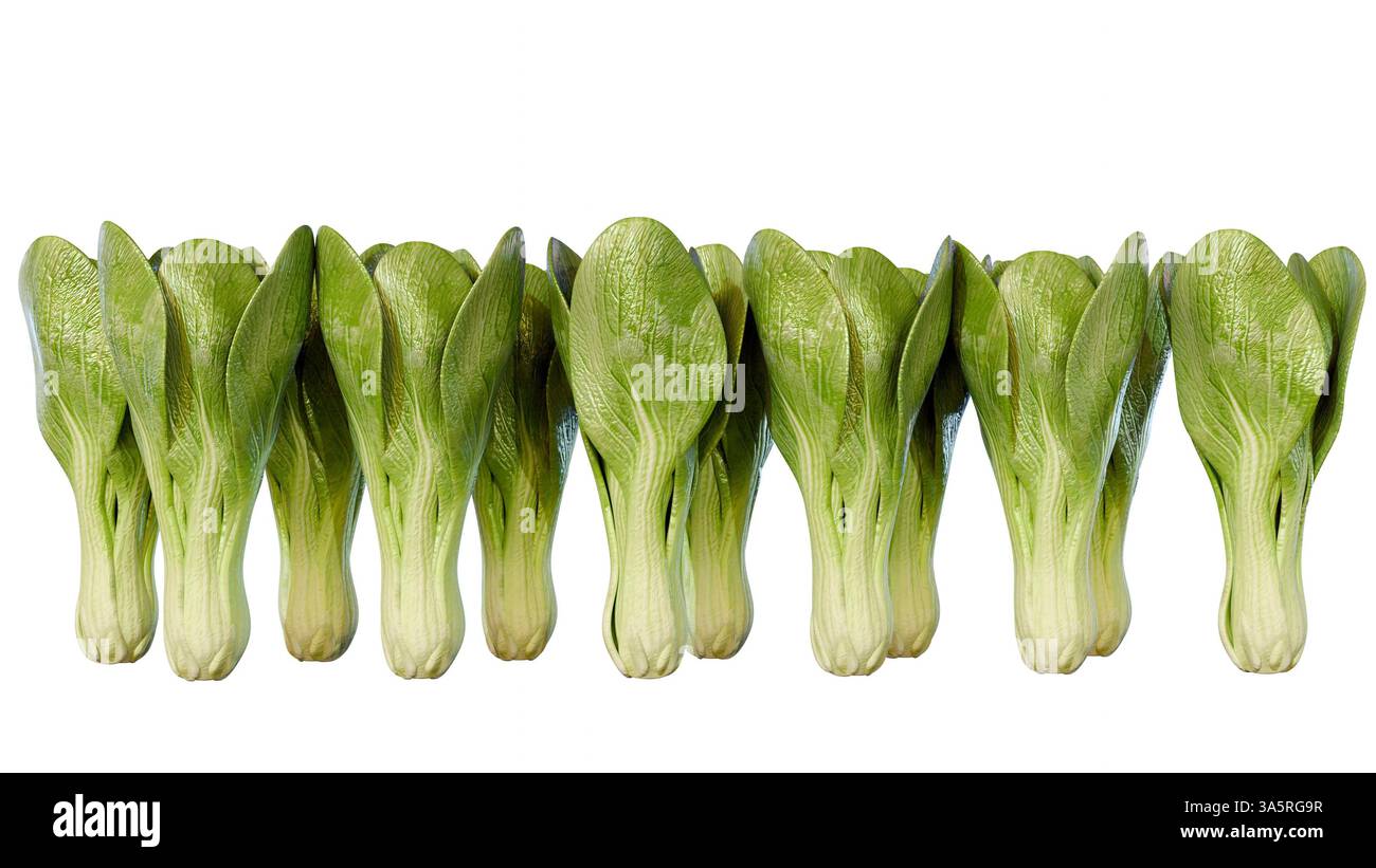 Asian type garden Cut Out Stock Images & Pictures - Alamy