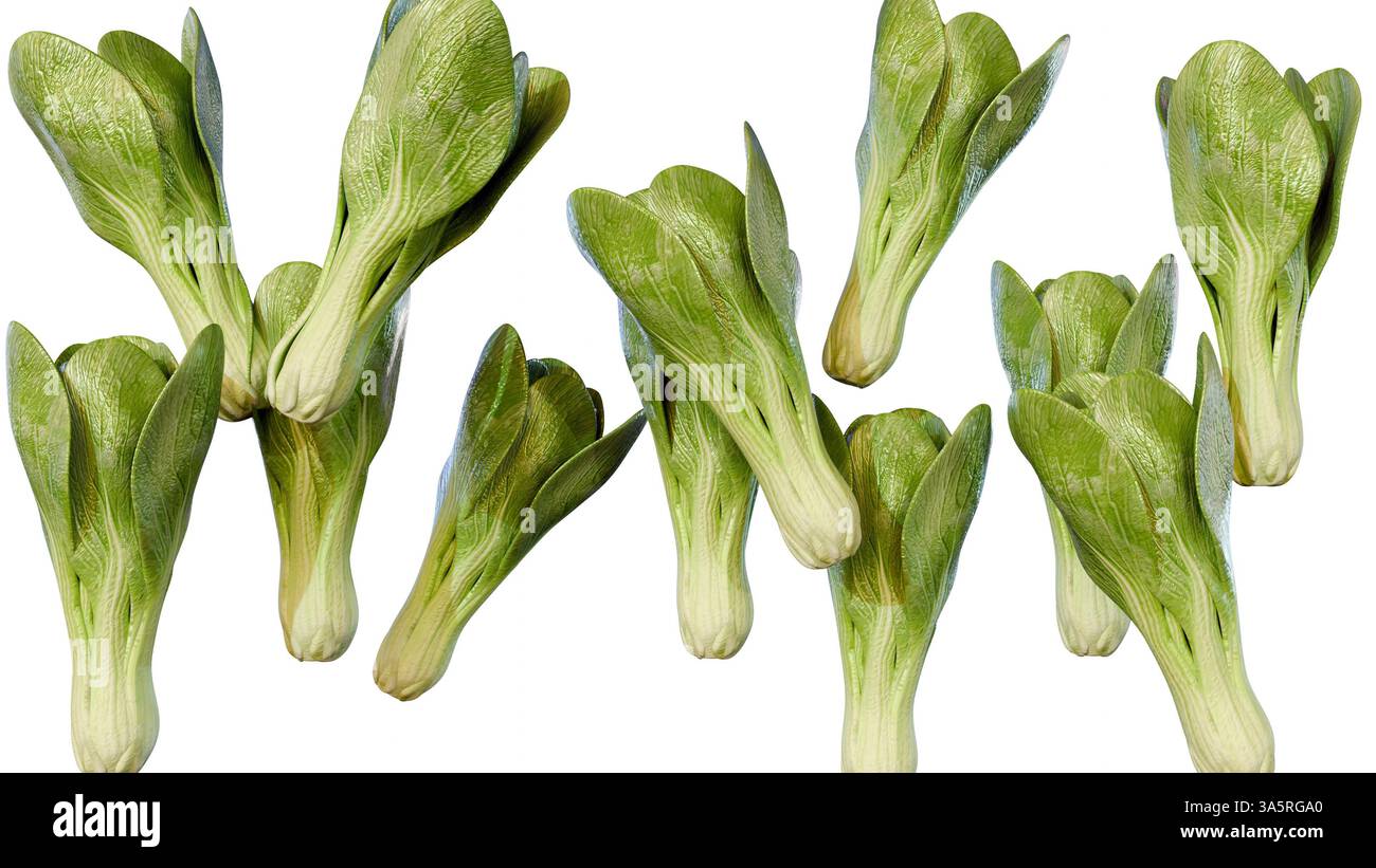 A 3D rendering of bok choy, also known as pak choi or pok choi, a type ...