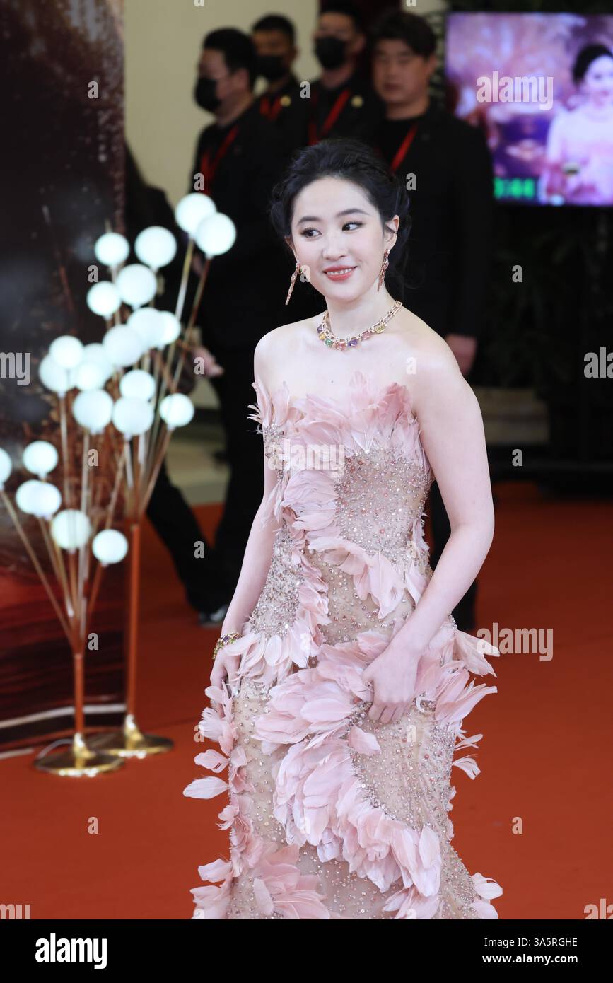 Chinese-American actress, singer, and model Liu Yifei attends the 2025 ...