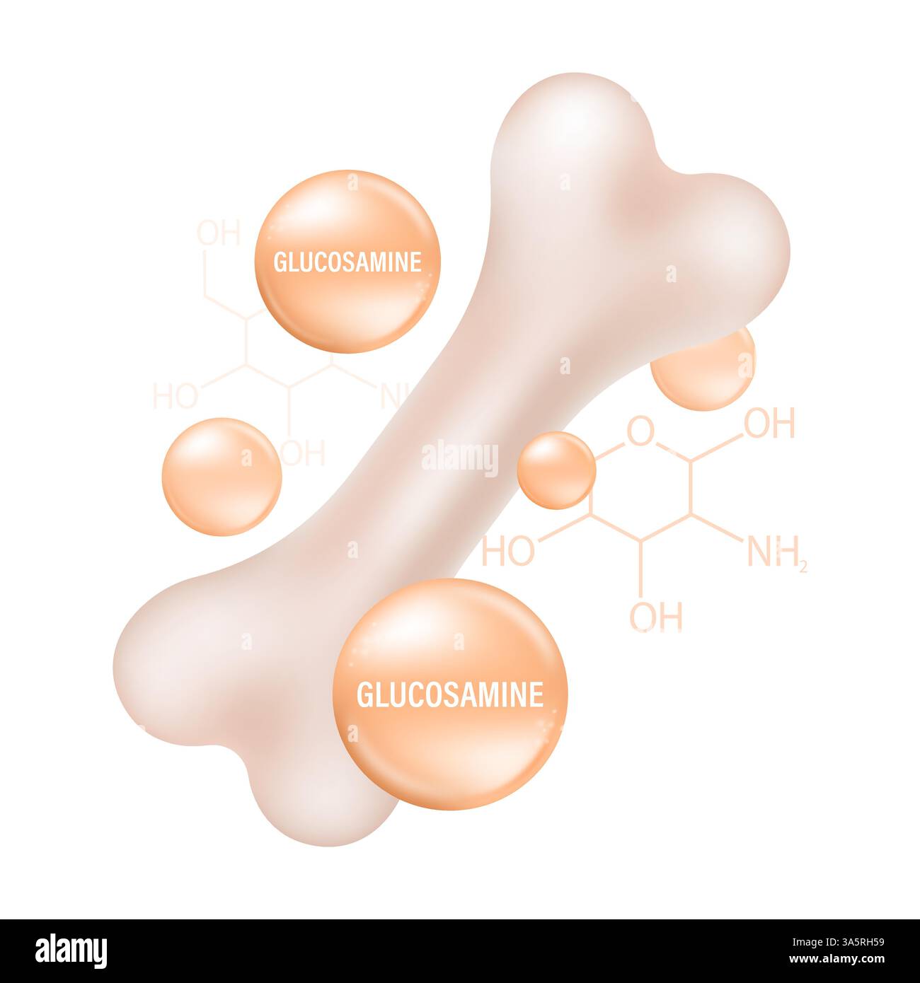 Glucosamine and Bone Health: A Vector Illustration Highlighting Joint ...