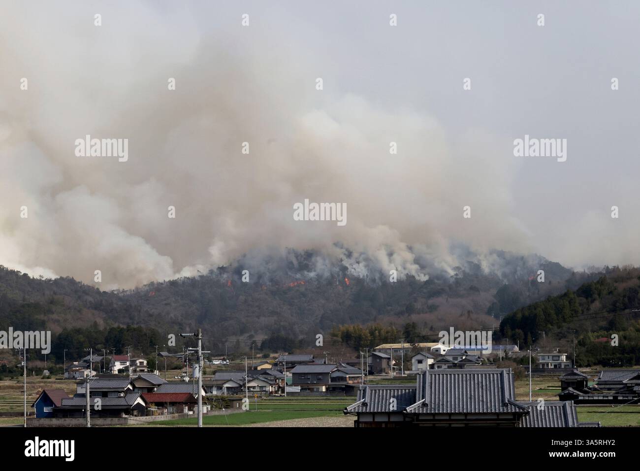 A photo shows a forest fire, broke out on 23 and has continued spread ...