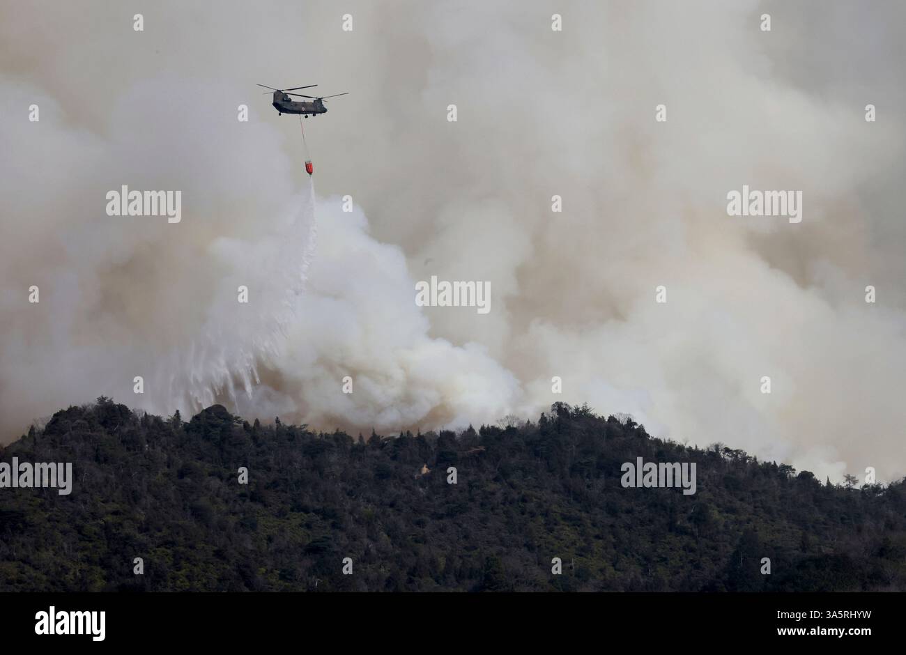 A photo shows a forest fire, broke out on 23 and has continued spread ...