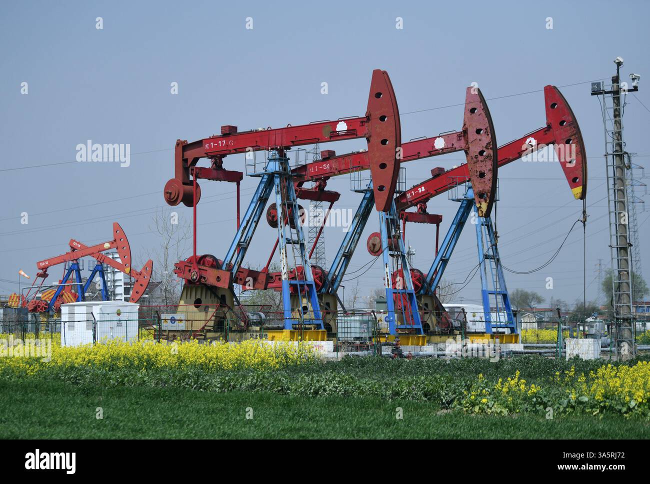 HAIAN, CHINA - MARCH 24, 2025 - A pumping unit and a drilling derrick ...
