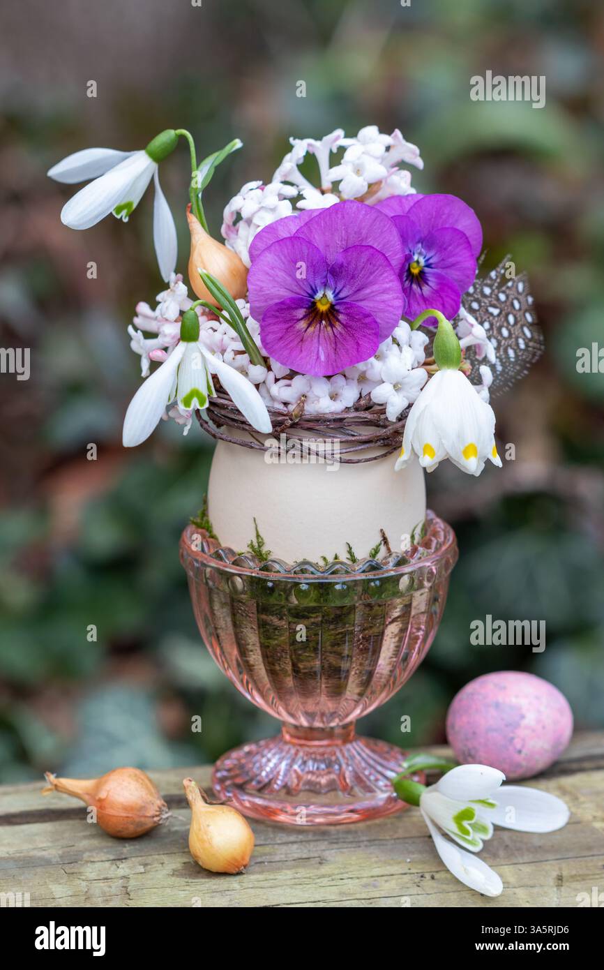 flower arrangement of pink viola flower, snowdrops, spring snowflake ...