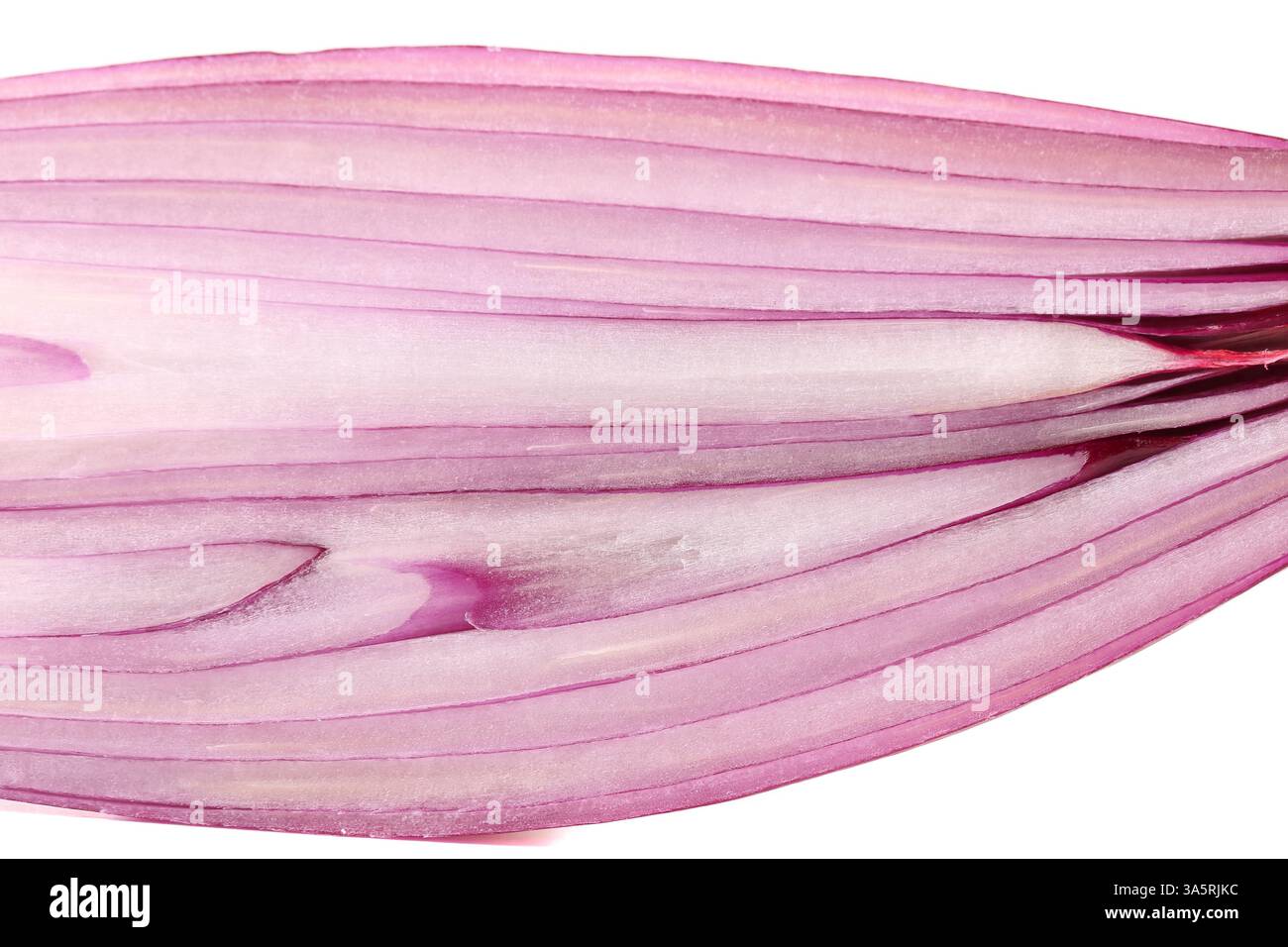 A red onion, sliced in half, isolated on white background Stock Photo ...