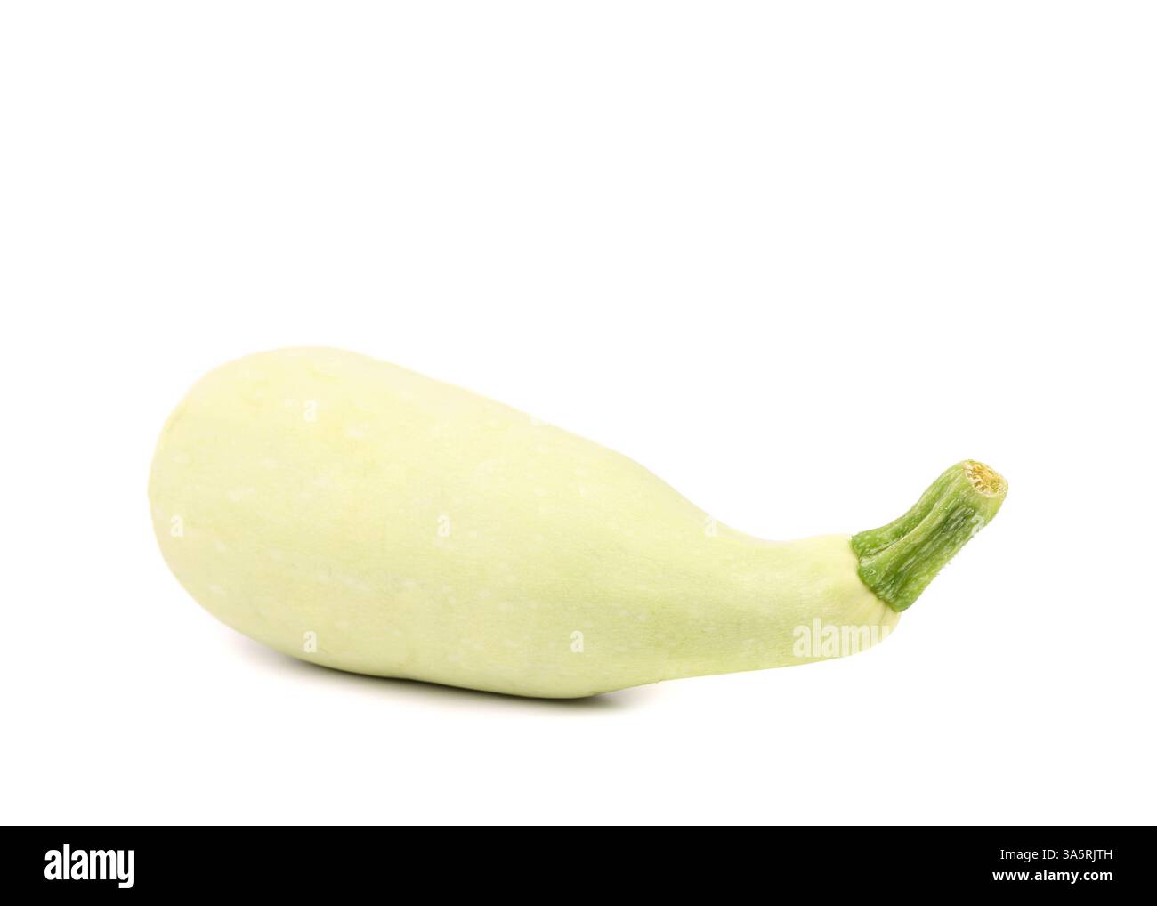 Fresh vegetable marrow isolated on a white background Stock Photo - Alamy