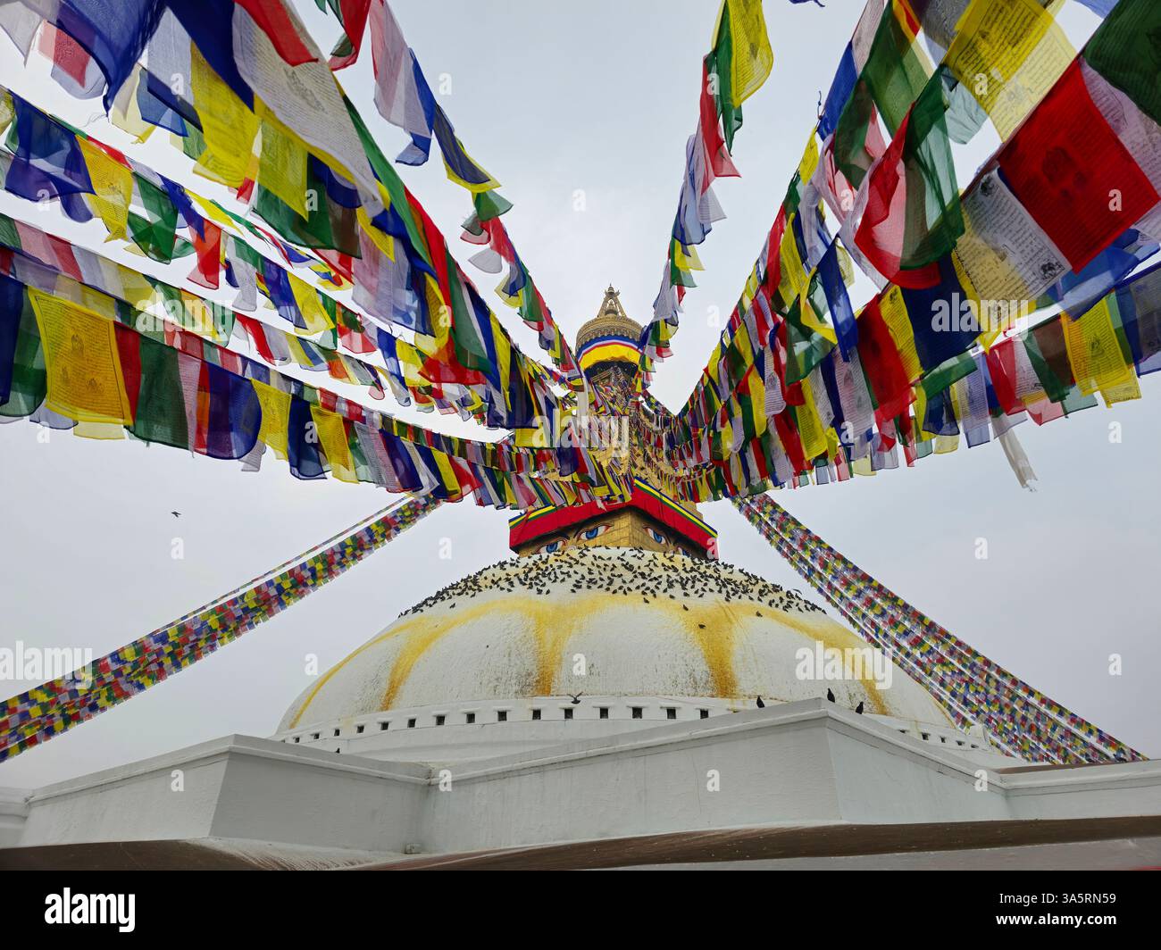 The beautiful stupa at the Boudhanath temple in Kathmandu, Nepal Stock ...