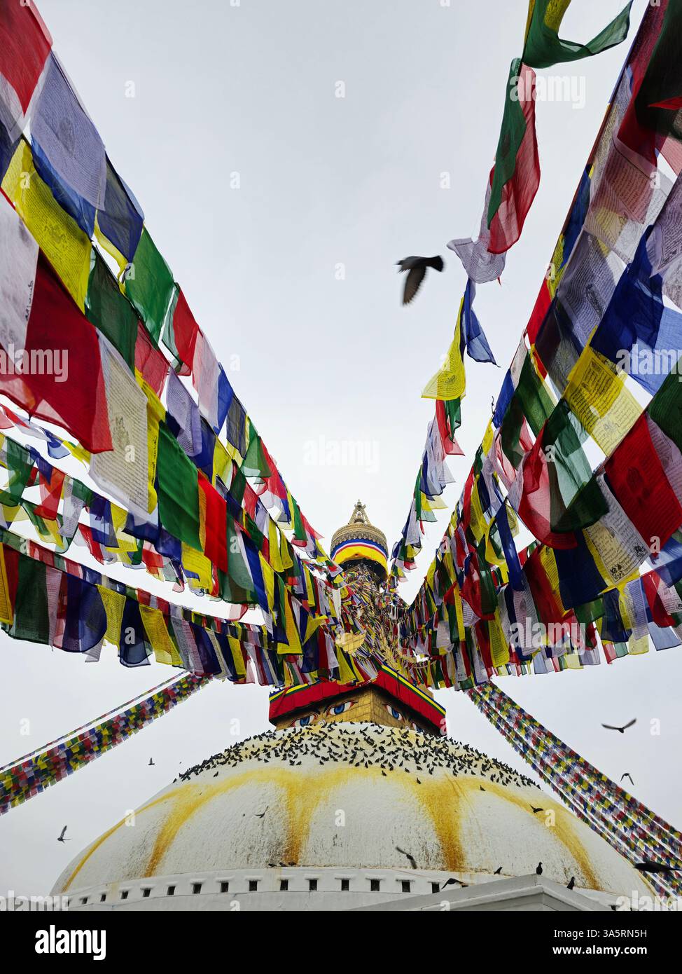 The beautiful stupa at the Boudhanath temple in Kathmandu, Nepal Stock ...